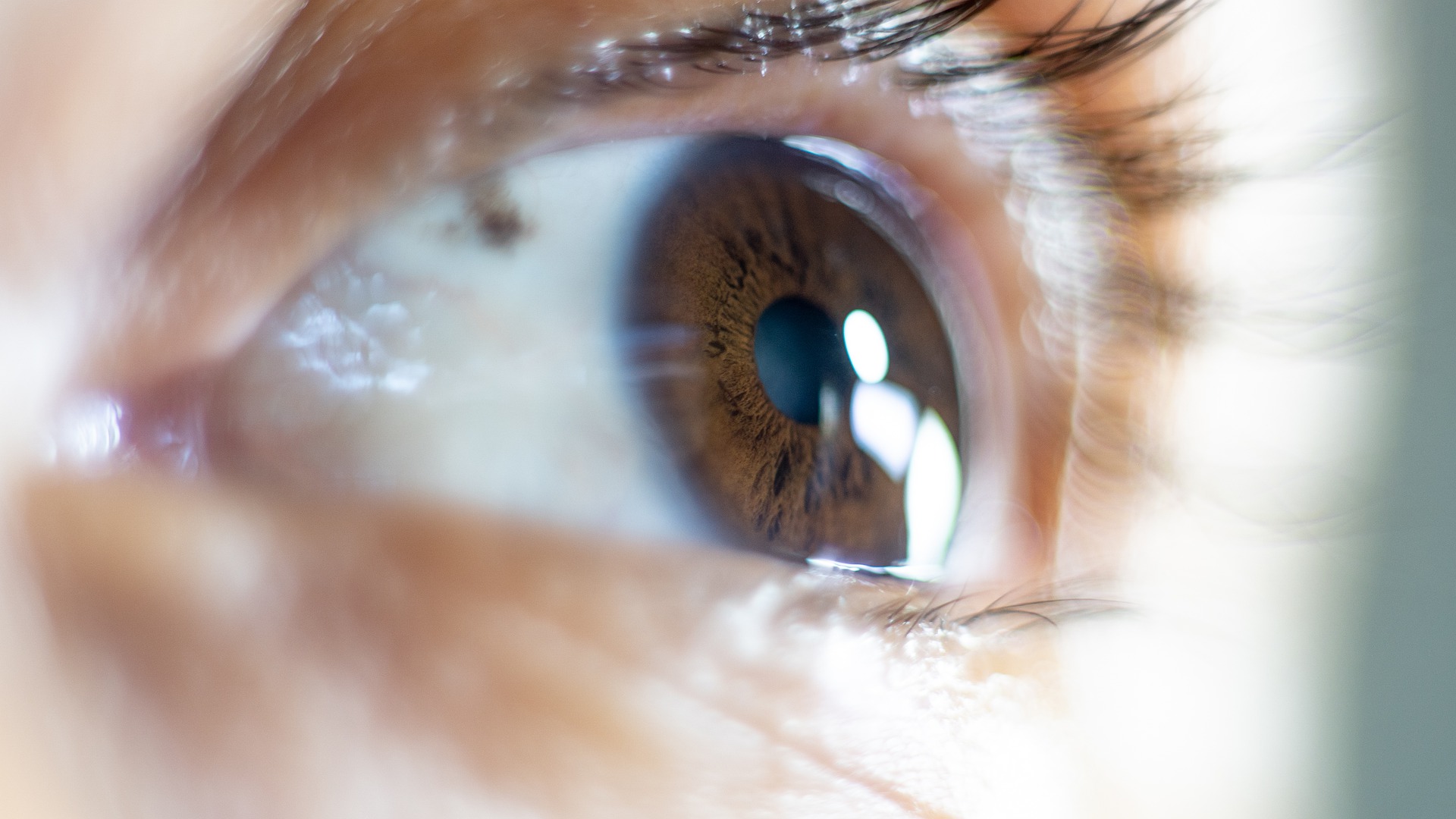 Everything You Need To Know About Cheap Contact Lenses